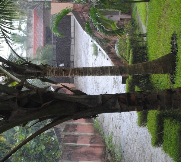 Simply South: Rain Ready