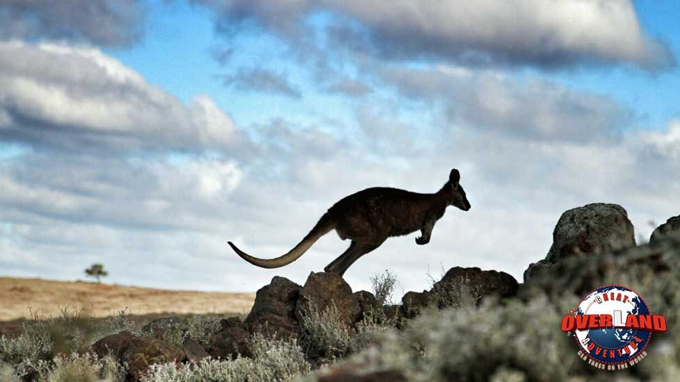 10 Pictures That Perfectly Sum Up Australia