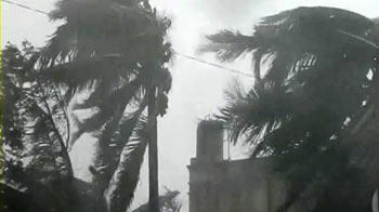 Watch Cyclone Thane video from Cuddalore