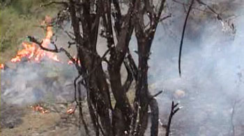 Major forest fire at LoC spreads to minefield, triggers mine blasts
