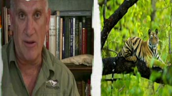 Alan Rabinowitz on India's role in protecting the tiger