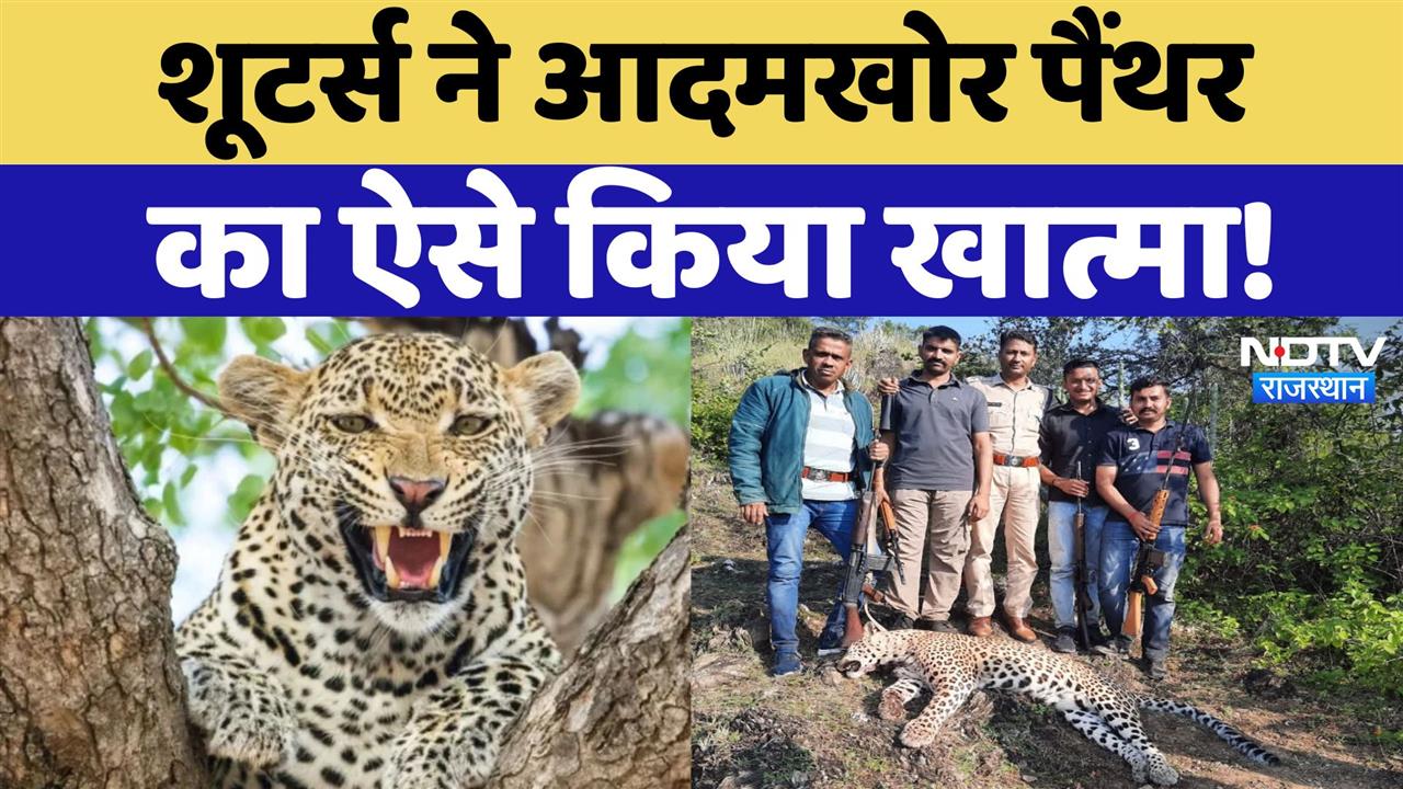 Shoot Leopard : आदमखोर पैंथर का शूटर्स ने ऐसे किया खात्मा!