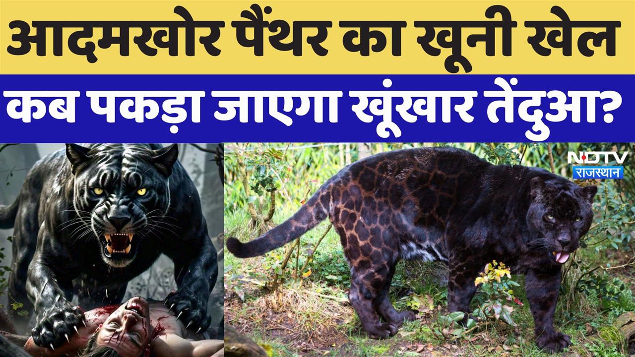 Panther Attack: आदमखोर पैंथर का खूनी खेल, कब पकड़ा जाएगा खूंखार तेंदुआ