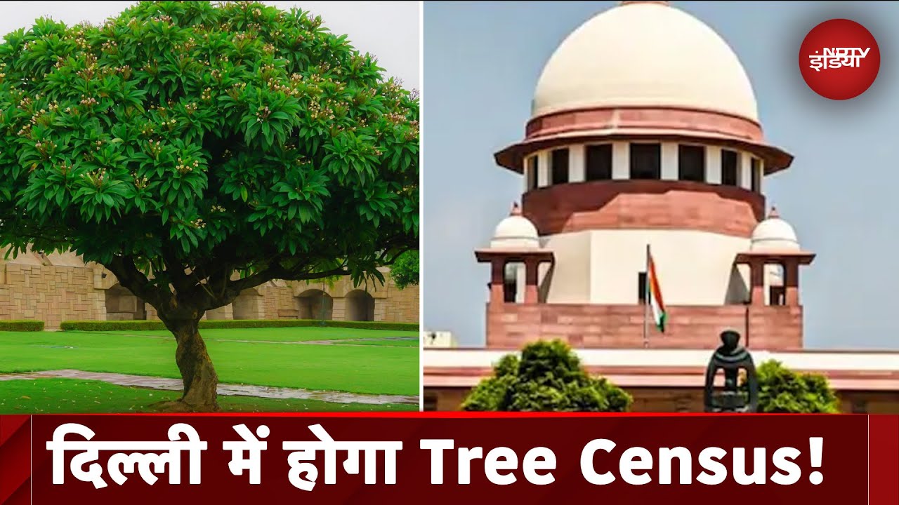 Tree Census: Delhi में पेड़ों की कटाई पर Supreme Court सख्त, पेड़ों की ...