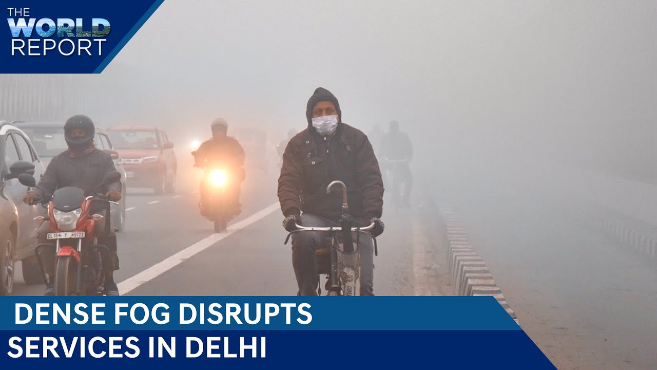 Dense Fog Disrupts Services In Delhi-NCR | Pink Fire Retardant Deployed In LA | The World Report