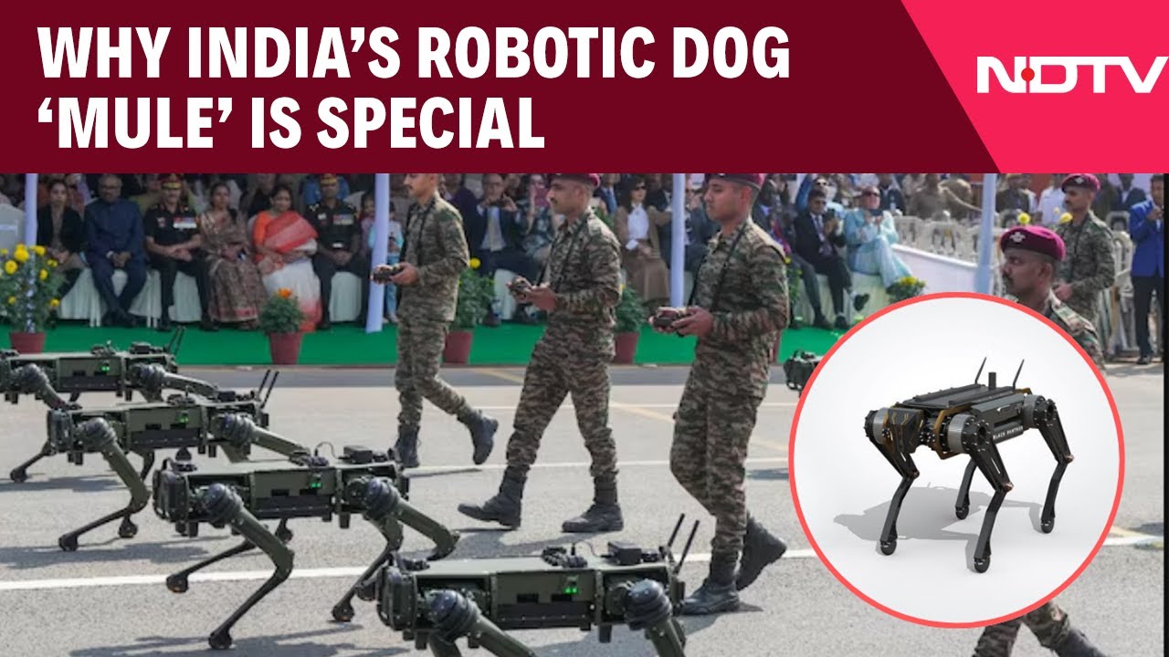 Meet 'MULE' Robotic Dog 'Sanjay', Star Of RD Parade In Kolkata ...