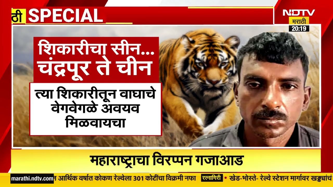 NDTV Marathi Special Report | महाराष्ट्राचा विरप्पन गजाआड,कशी होती या विरप्पनची मोडस ऑपरेंडी?