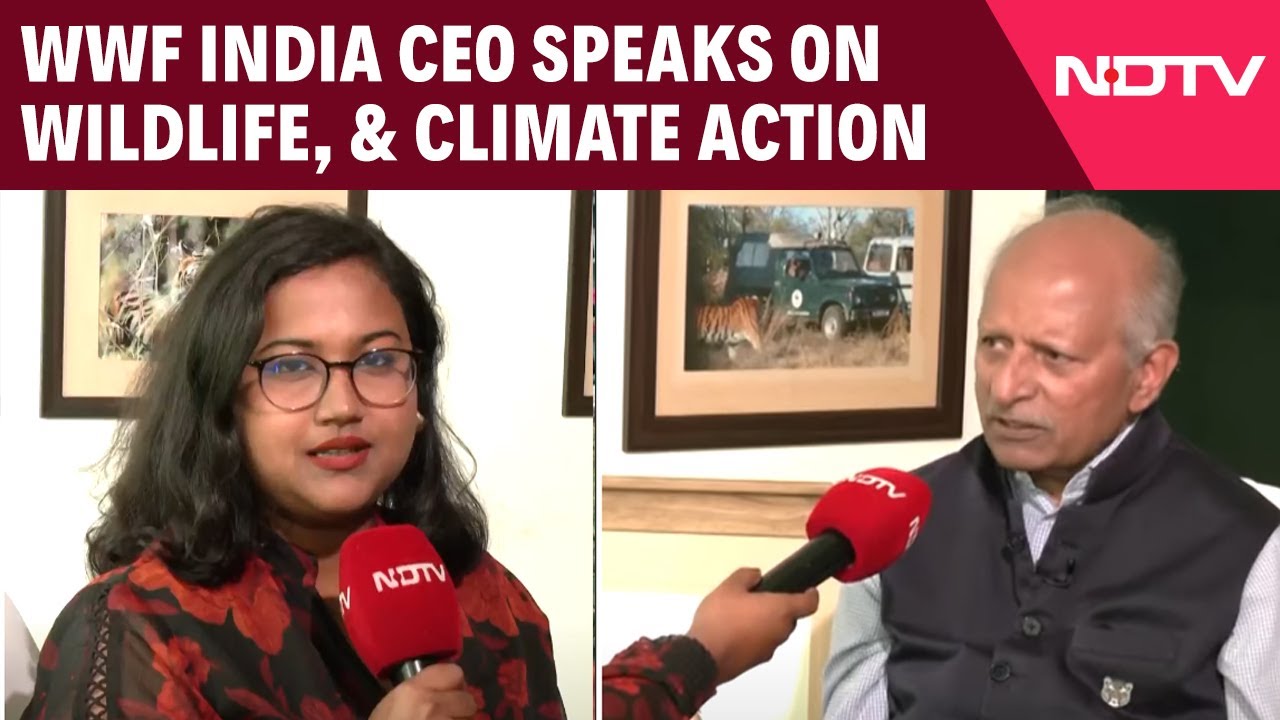 Earth Hour 2025 | WWF India CEO on Wildlife, River Health & Climate ...