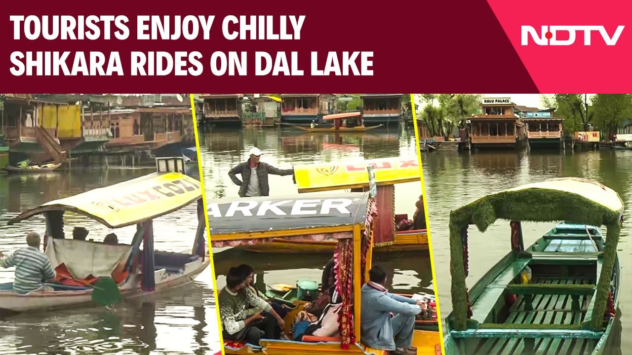 Tourists Flock To Dal Lake For Scenic Shikara Rides After Fresh ...