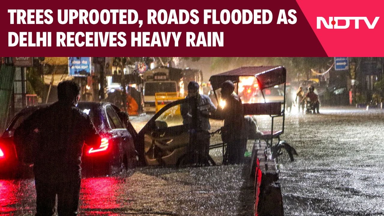 Delhi: Flight Ops Hit, Trees Uprooted, Roads Flooded As Delhi Receives Heavy Rain