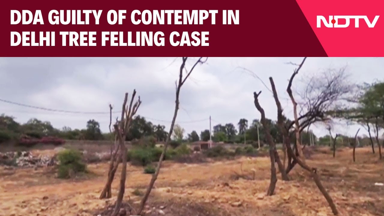 Delhi News | DDA Guilty Of Contempt In Delhi Tree Felling Case, Relief ...