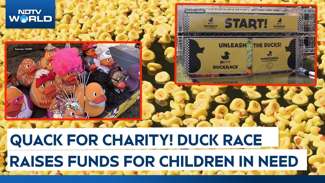 Viral Video | 10,000 Yellow Rubber Ducks Flood Netherland's Maastricht ...