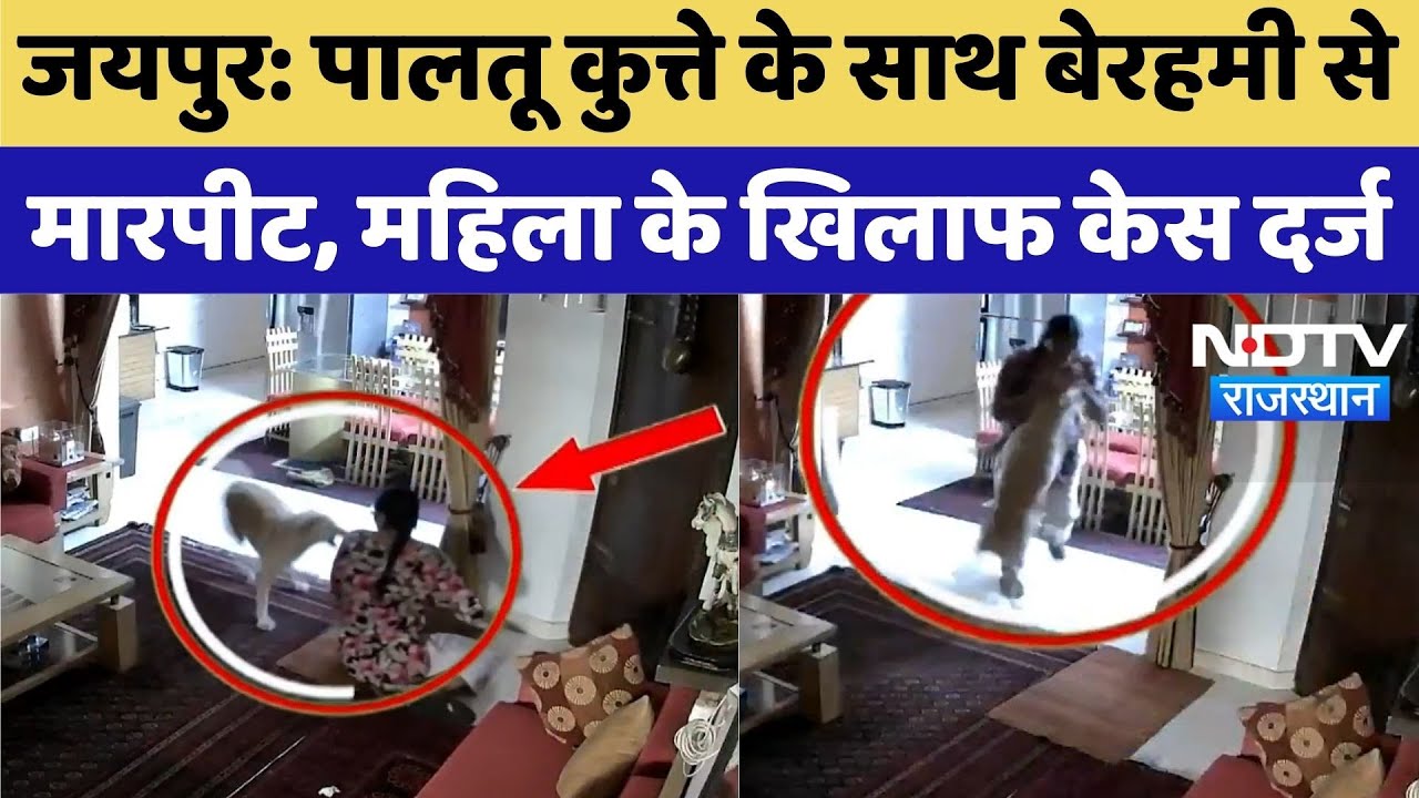 Jaipur News: पालतू कुत्ते के साथ बेरहमी से मारपीट, महिला के खिलाफ केस ...
