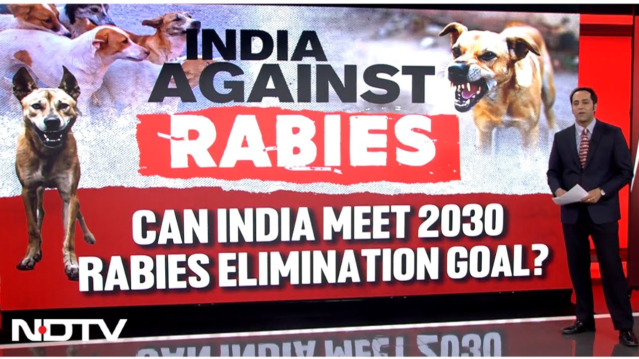 10 Chilling Truths Expose Why India Remains the Global Rabies Capital