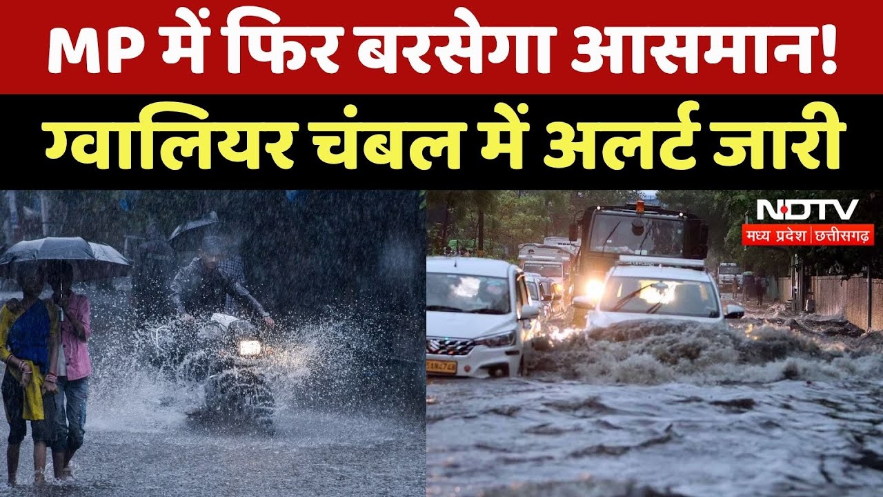 Heavy Rain Alert in MP: फिर जमकर बरसेंगे बादल! Gwalior Chambal में Alert | Flood | MP | Monsoon 2025