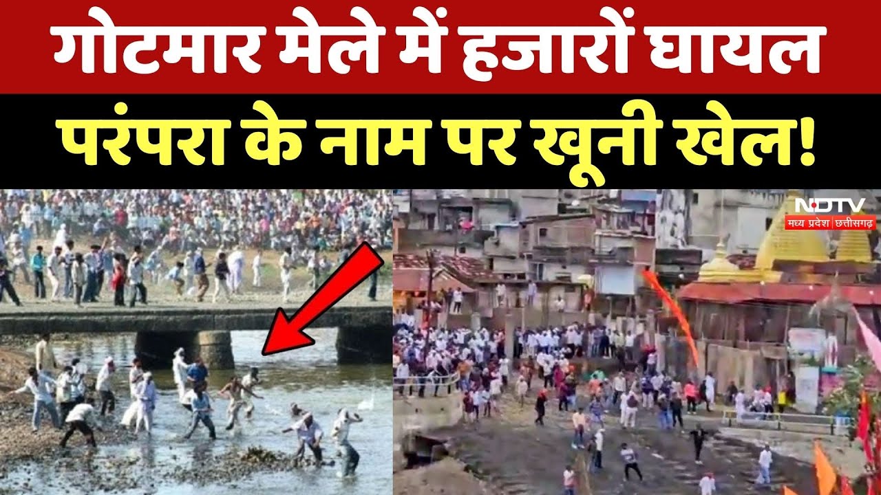 Pandhurna Gotmar Mela 2025: परंपरा के नाम पर फूटा सिर, टूटे कंधे और ...