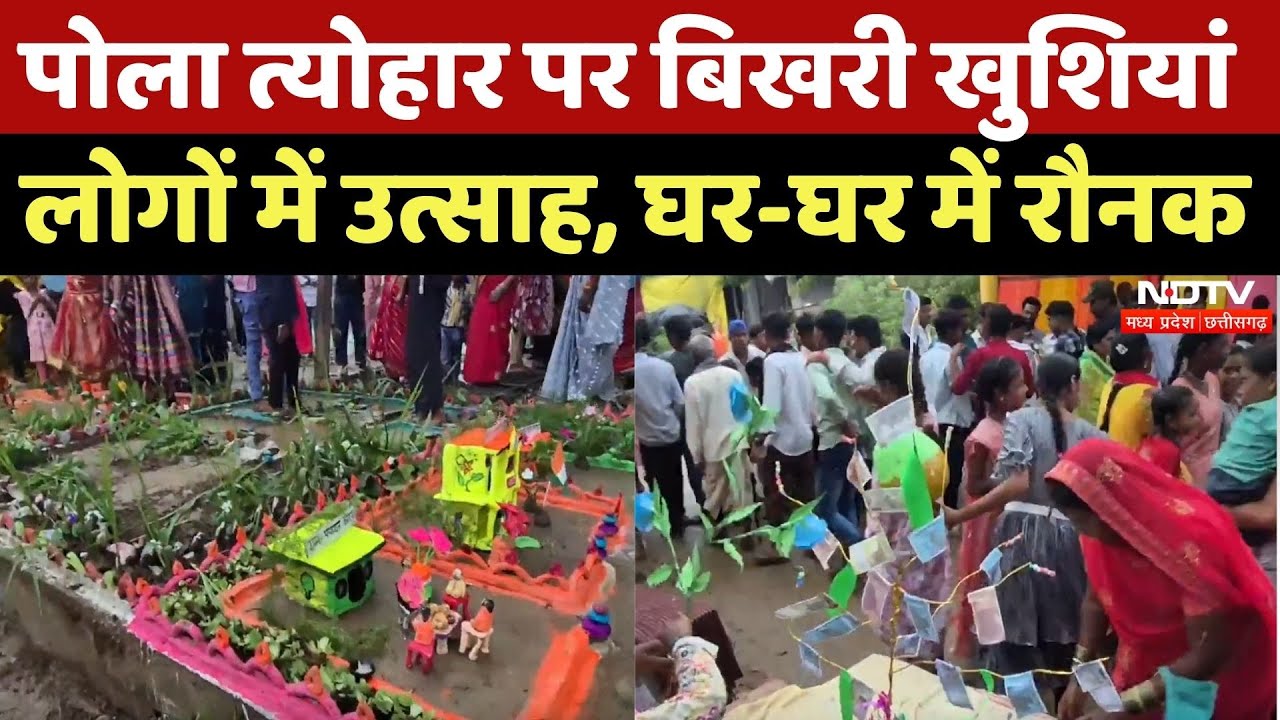 Pola Festival 2025: Baloda Bazar में मनाया जा रहा पोला पर्व, लोगों में ...