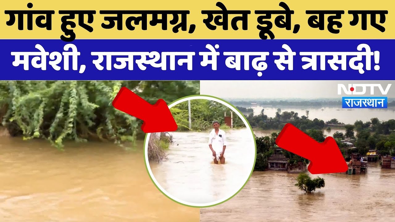 Rajasthan Flood Alert: कहीं डूबे आशियाने तो कहीं फसलें बर्बाद, चारों ...