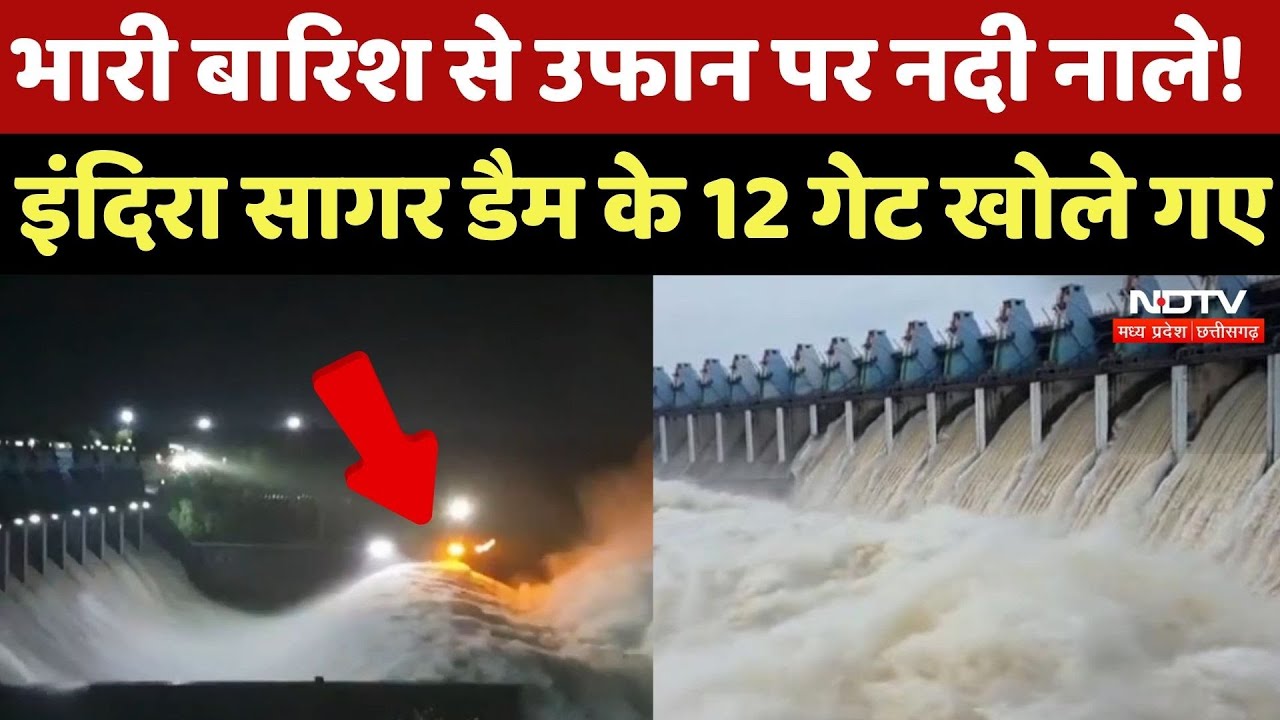 MP Flood Alert: उफान पर नदी नाले! Indira Sagar Dam के 12 गेट खोले गए ...