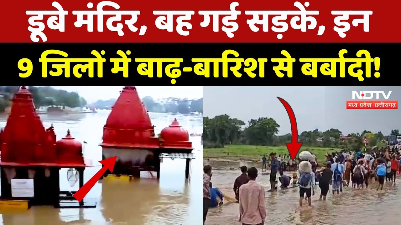 Flood In MP: बाढ़-बारिश से बिगड़े हालात, इन जिलों में मचा हाहाकार! Rain ...