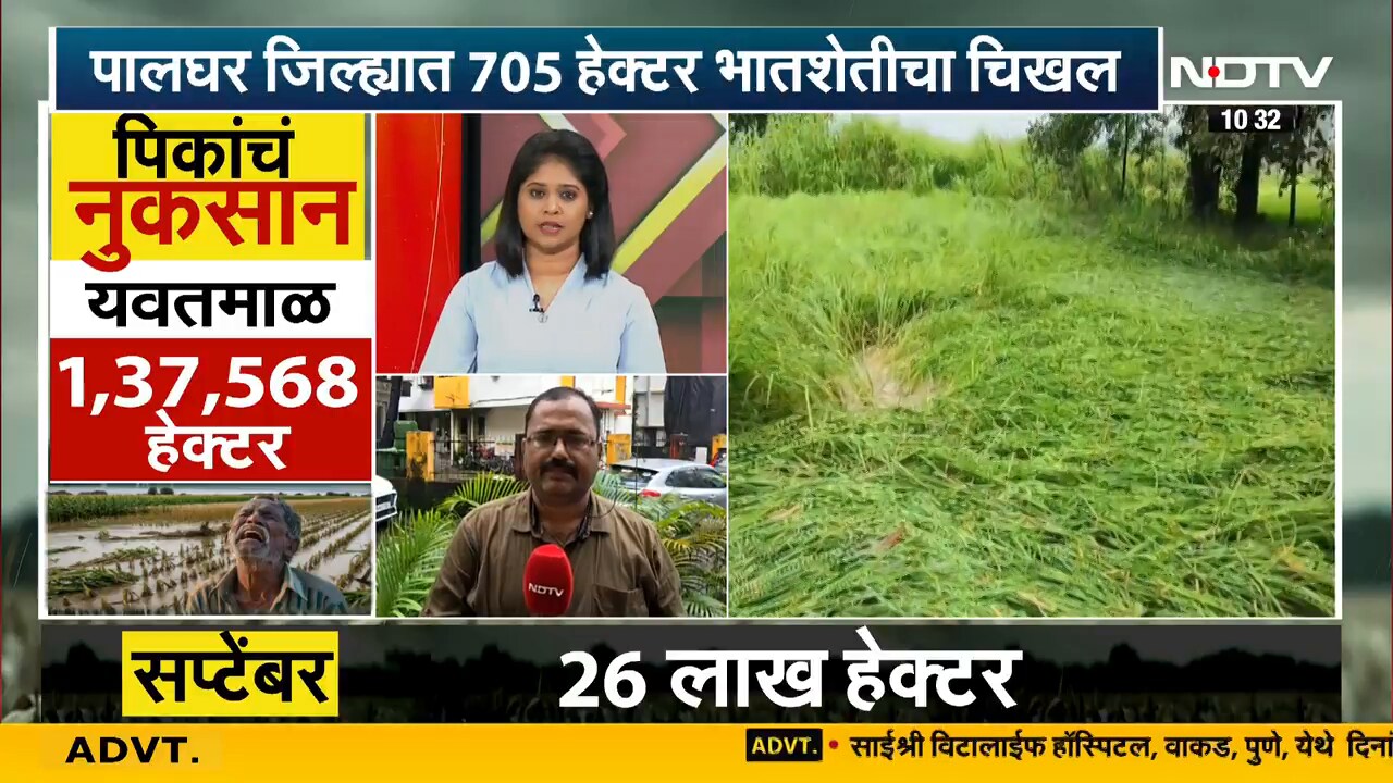 Palghar Rain Havoc | भातशेतीचा चिखल, पालघरमध्ये अतिवृष्टीने शेतकरी हवालदिल