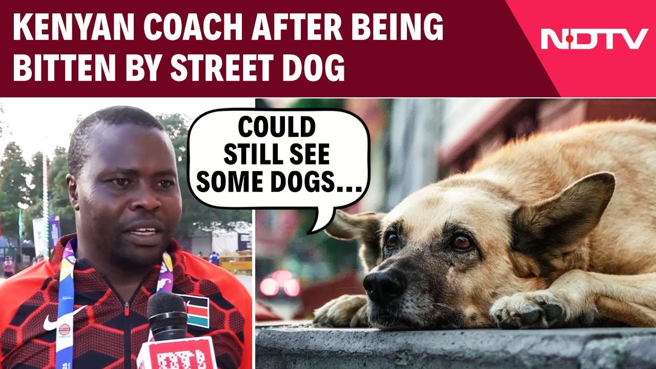 Kenyan Coach After Being Bitten By Stray Dog In Delhi: 'I Just Saw A ...
