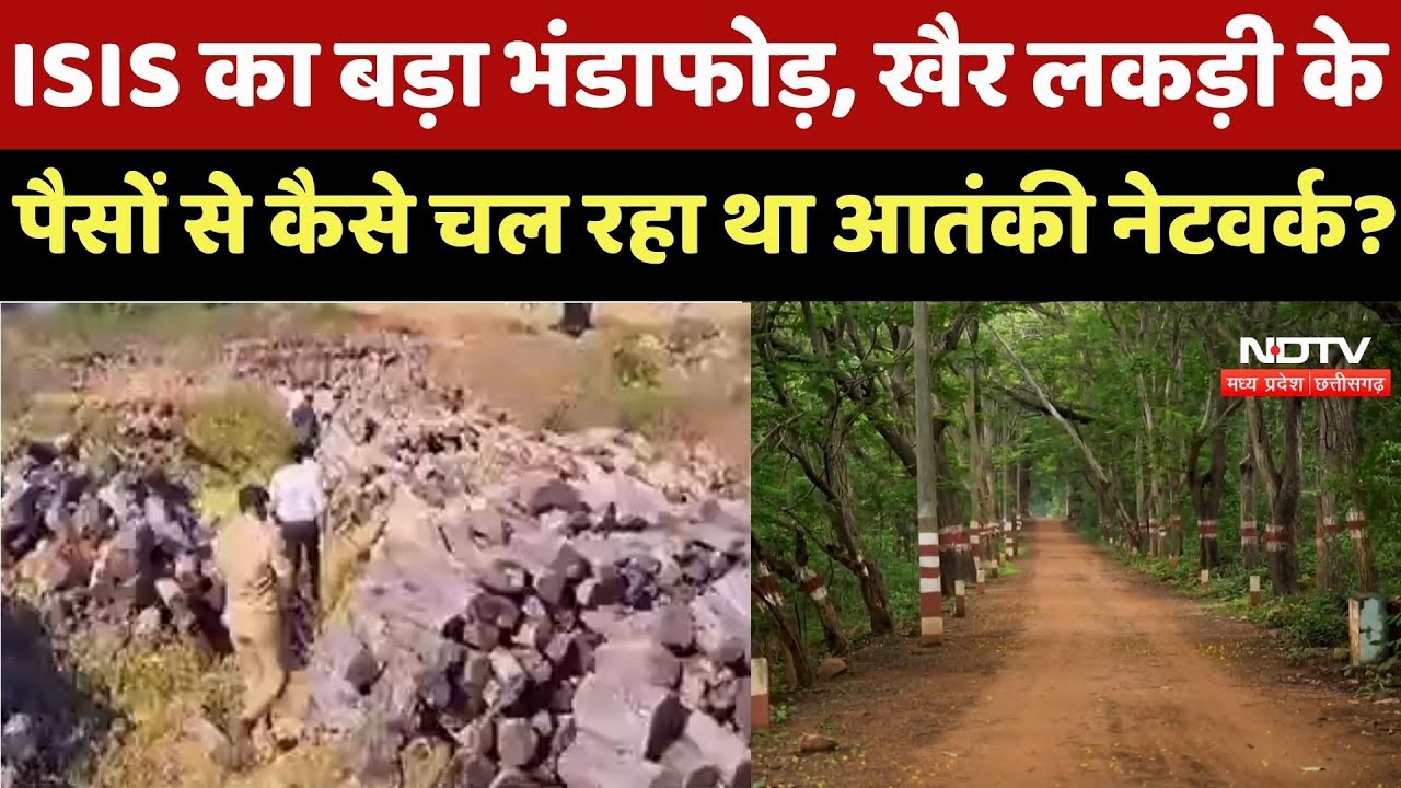 MP का 'खैर' कांड, लकड़ी तस्करी से Terrorist Funding, Alirajpur में ISIS ...