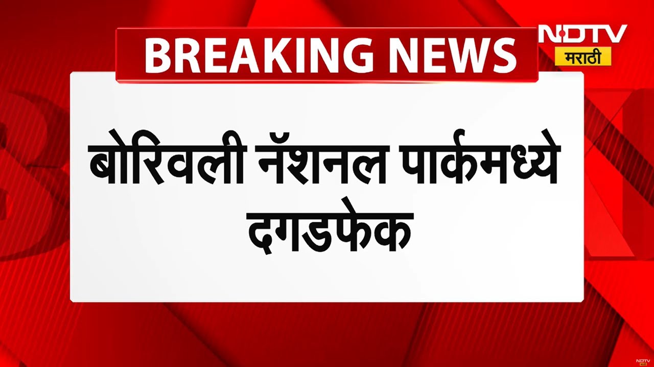 Mumbai | Borivali National Park मध्ये दगडफेक, आदिवासी कुटुंब आणि ...