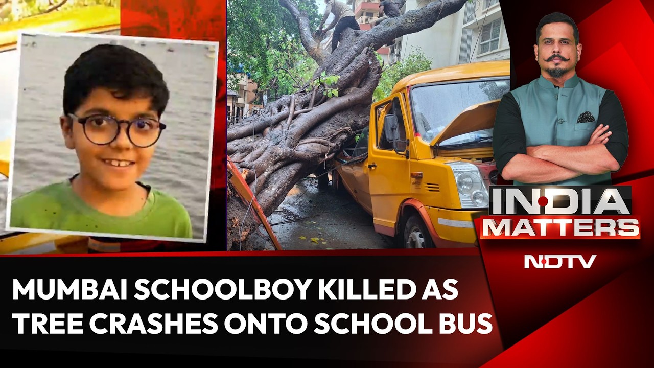 Mumbai Horror: Schoolboy Killed as Tree Crashes Onto School Bus