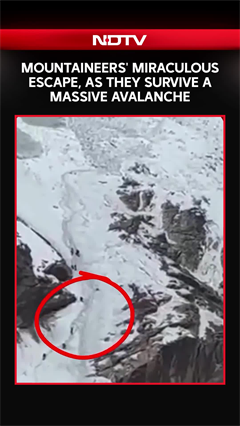 Mountaineers Narrowly Escape Death, Survive Massive Avalanche At Traill ...