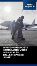 White House Posts Video of Illegal Immigrants In Shackles Being Deported