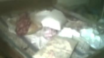 New footage of Osama compound